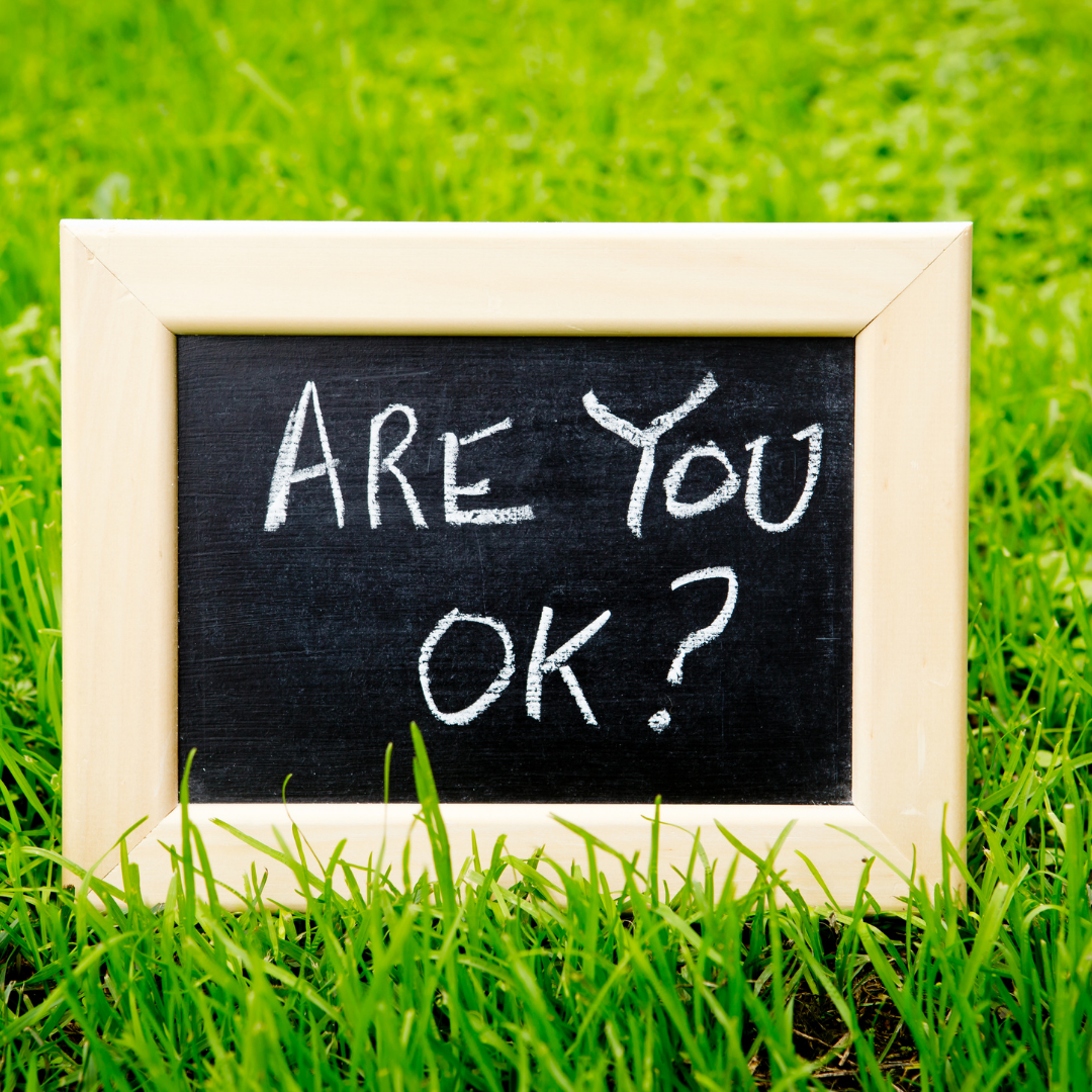 Are You Okay? 🤗 – Heppi